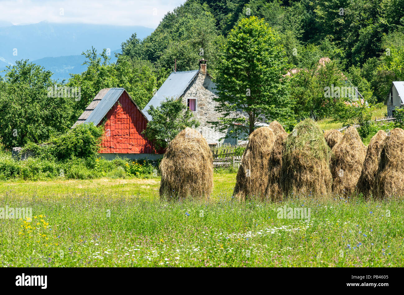 Traditional houses and haystacks in Vermosh, the most northerly village ...