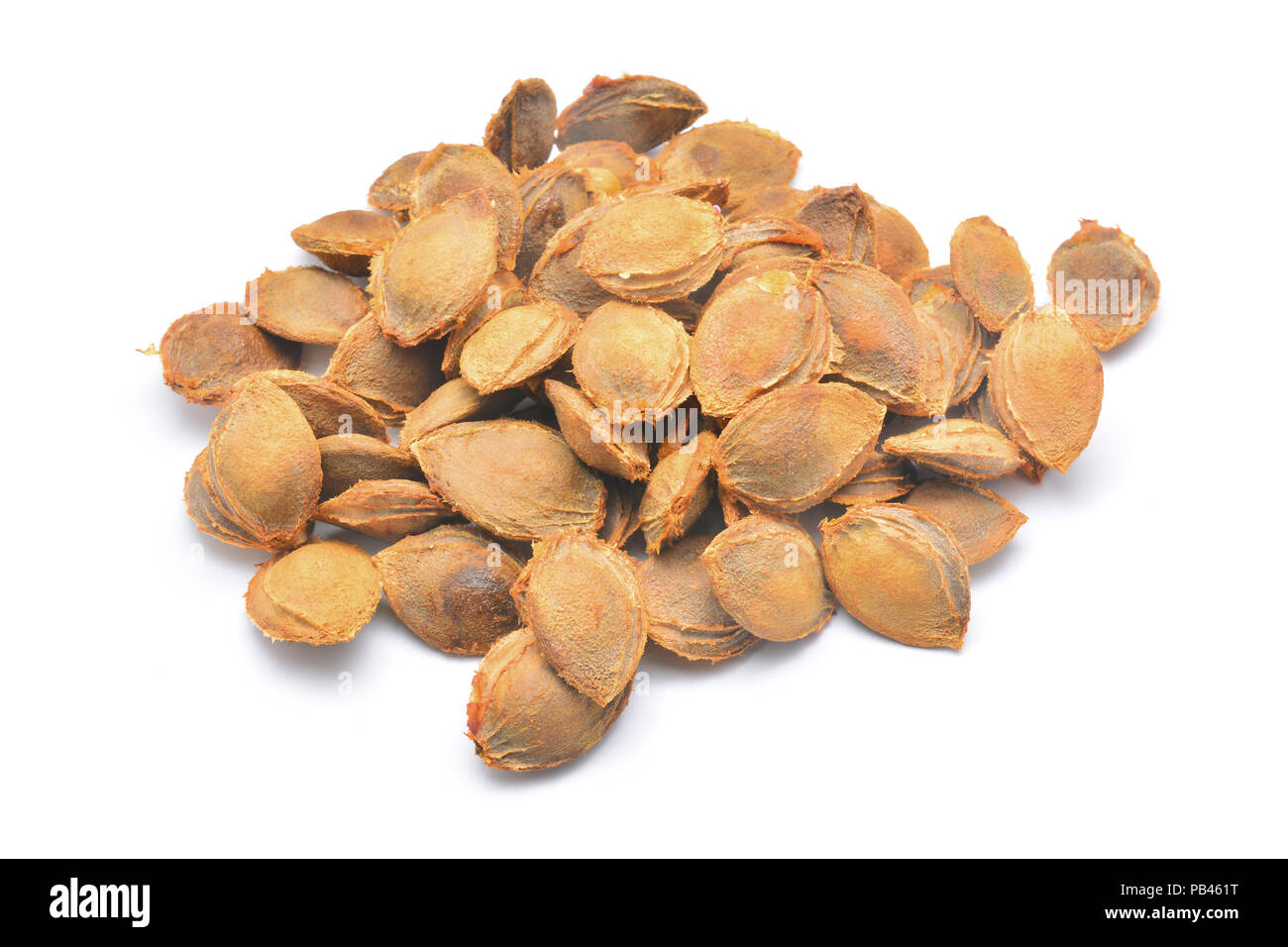 apricot pits isolated on white Stock Photo - Alamy