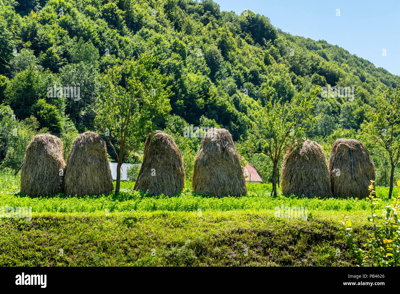 Traditional haystacks in Vermosh, the most northerly village in Albania ...