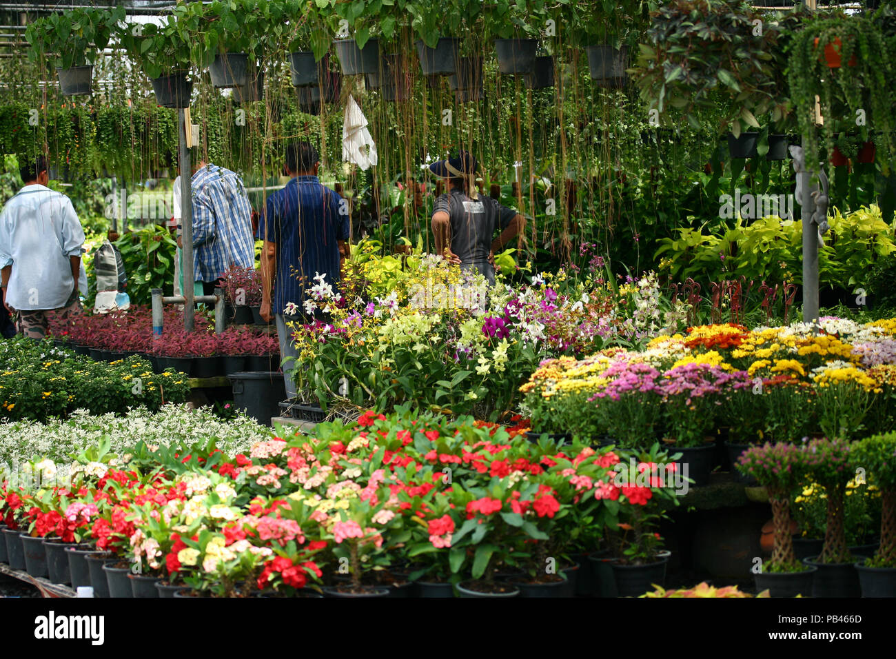Outdoor flower shop Stock Photo - Alamy