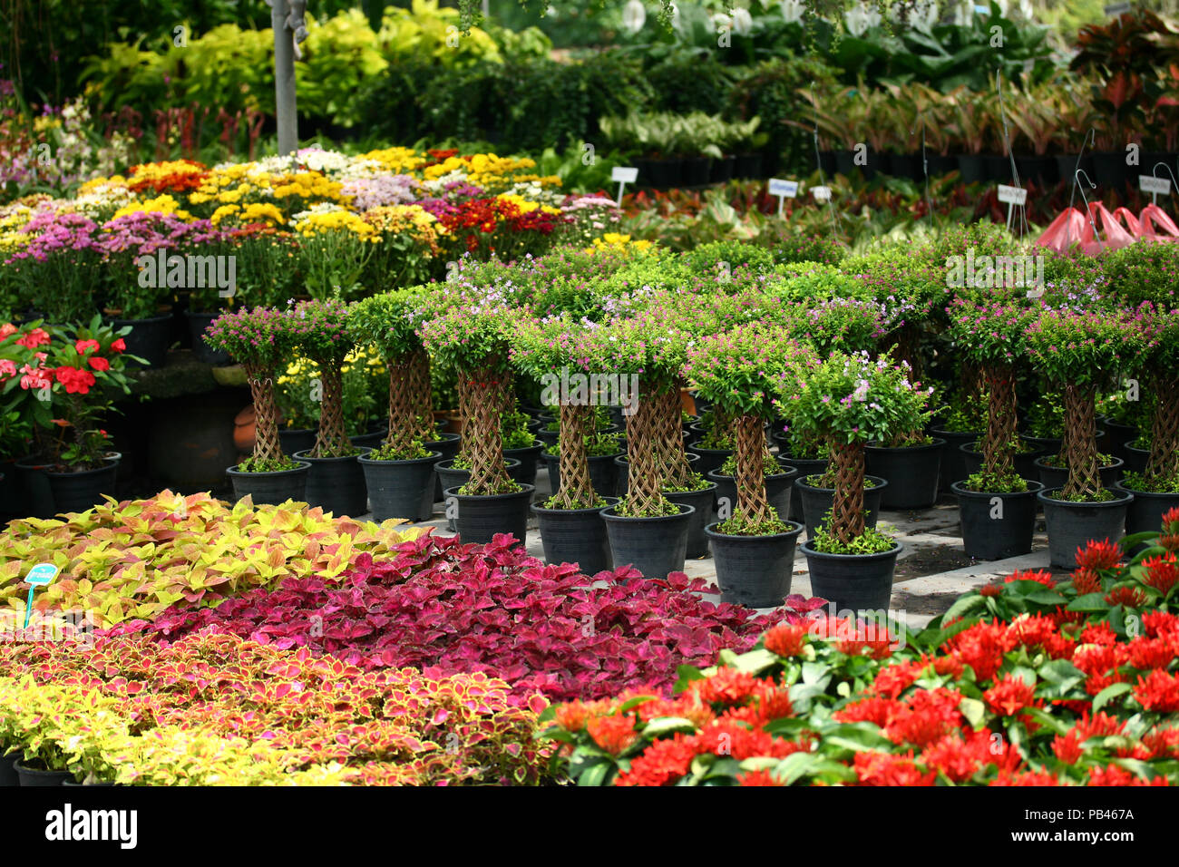 Outdoor flower shop Stock Photo - Alamy