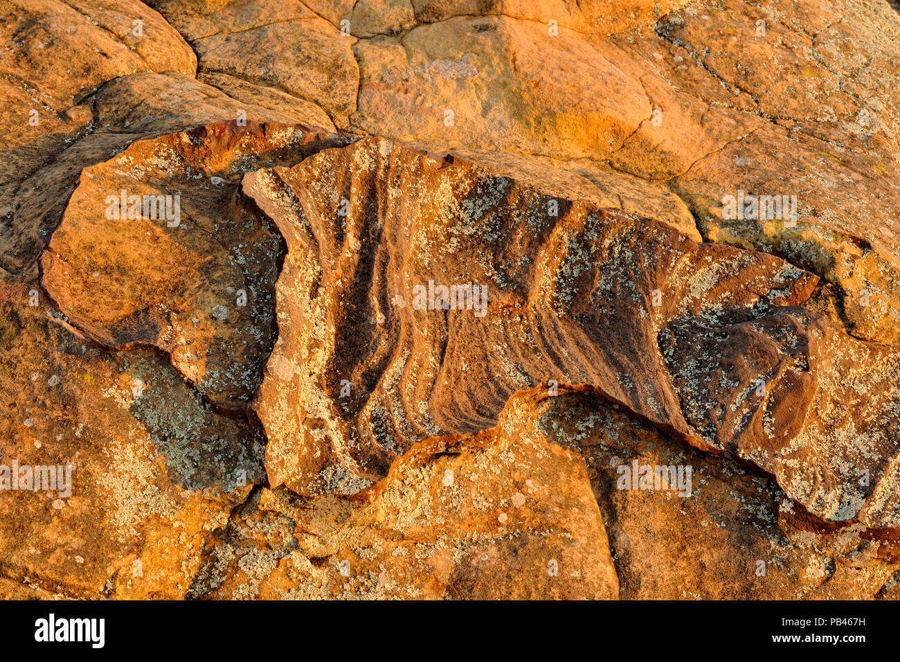 Hartshorne Sandstone, weathering detail, near Petit Jean gravesite ...