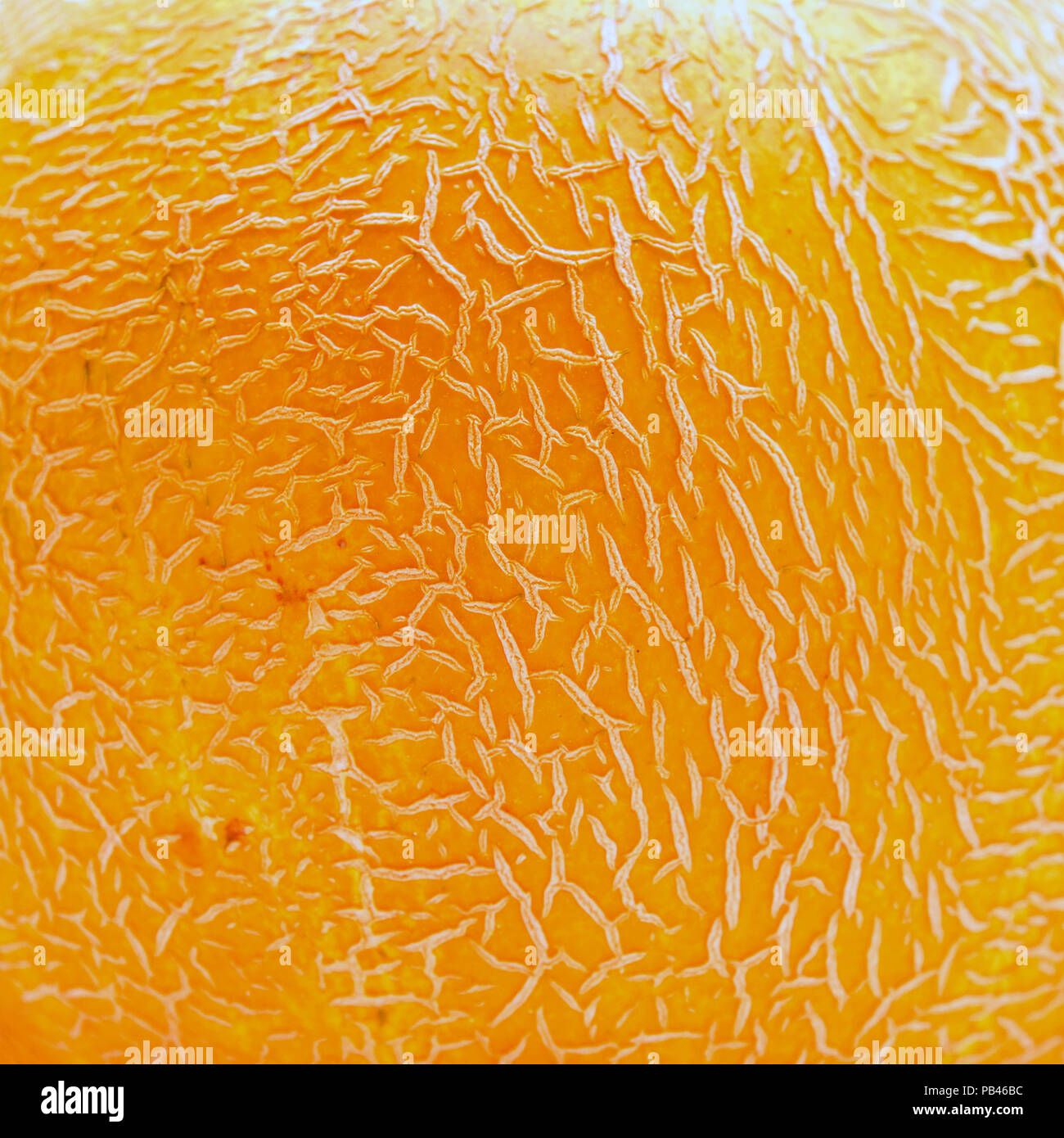 Melon texture hi-res stock photography and images - Alamy
