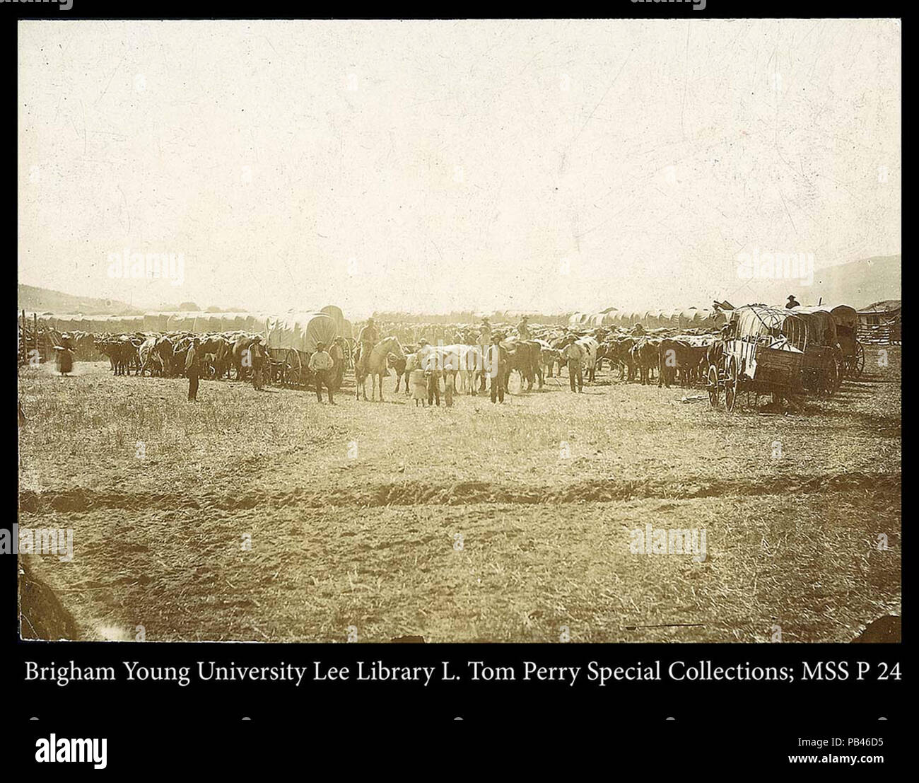 Covered wagons hi-res stock photography and images - Alamy