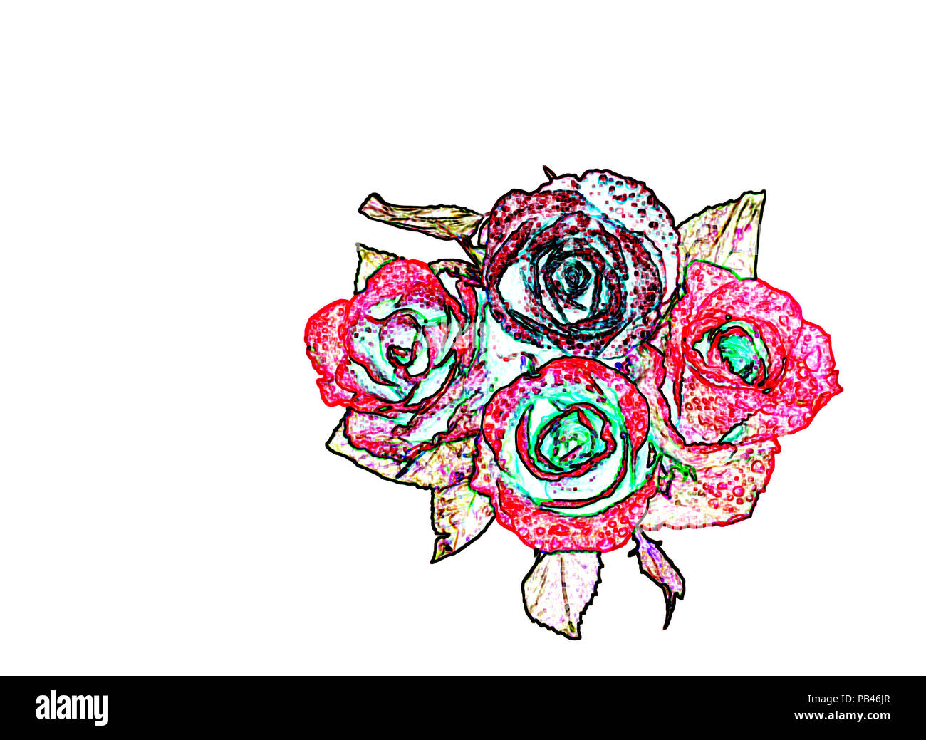 Group of Rose line illustration over white Stock Photo - Alamy