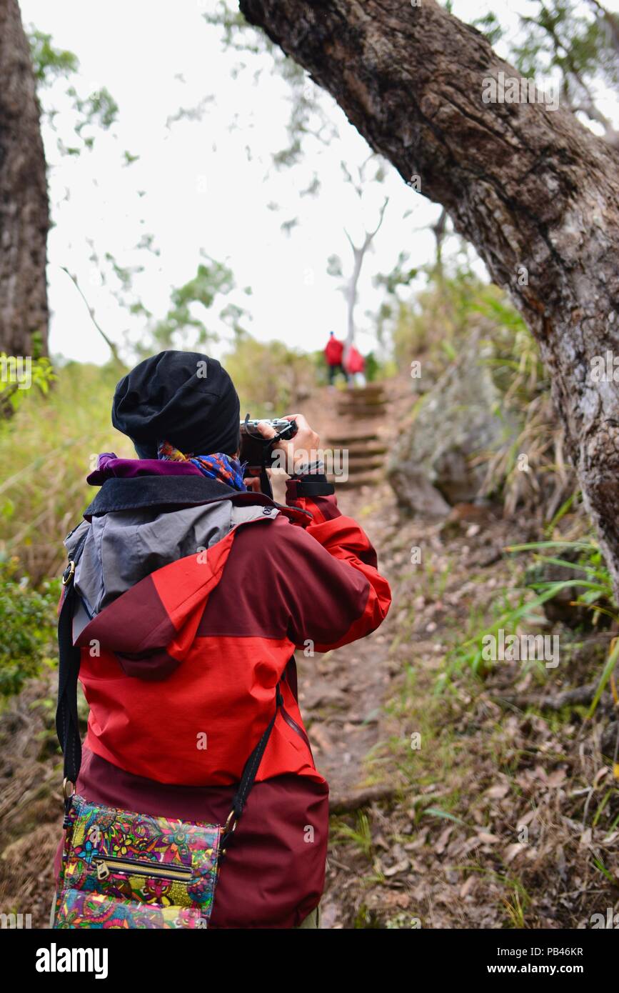 Children walking down the path to Little millstream falls, Millstream ...