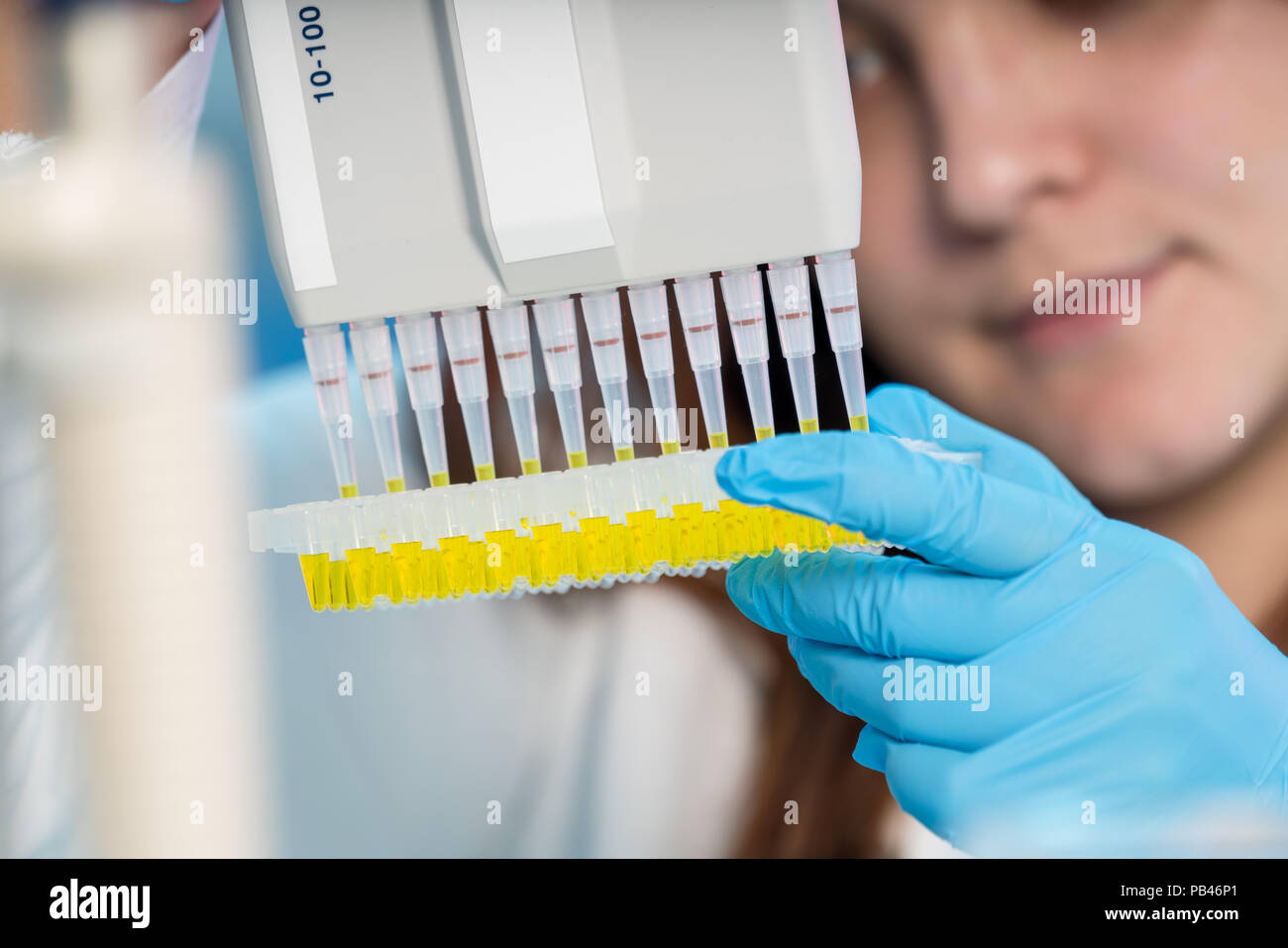 Woman technician with multipipette in genetic laboratory PCR research ...