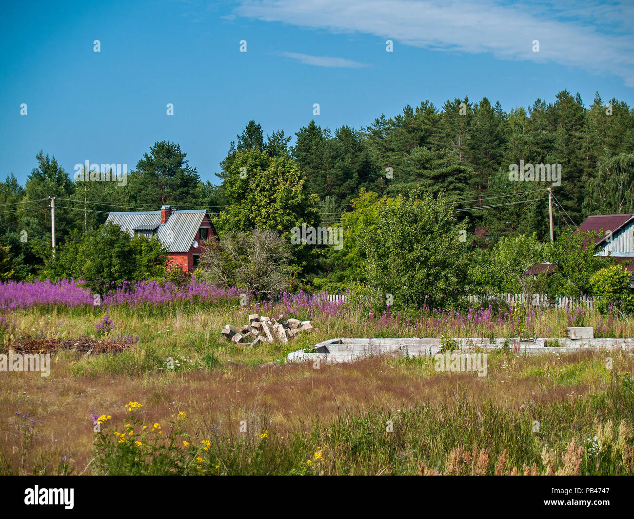 On the glade overgrown with grass and flowers near the village houses ...
