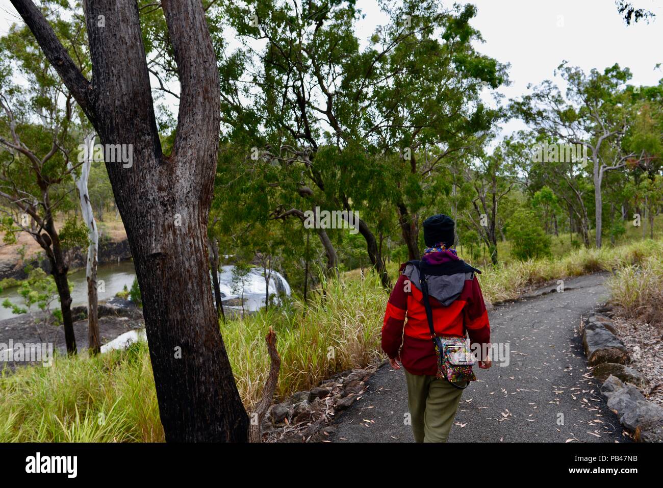 The walking path the Big Millstream Falls, Millstream falls national ...