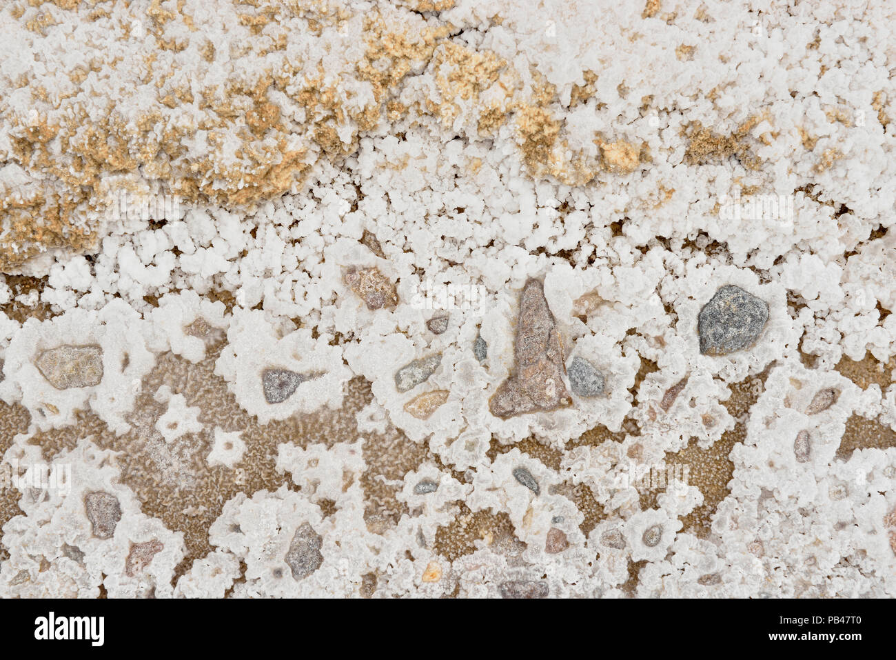 Salt encrusted patterns created through evaporation near the Cottonball ...