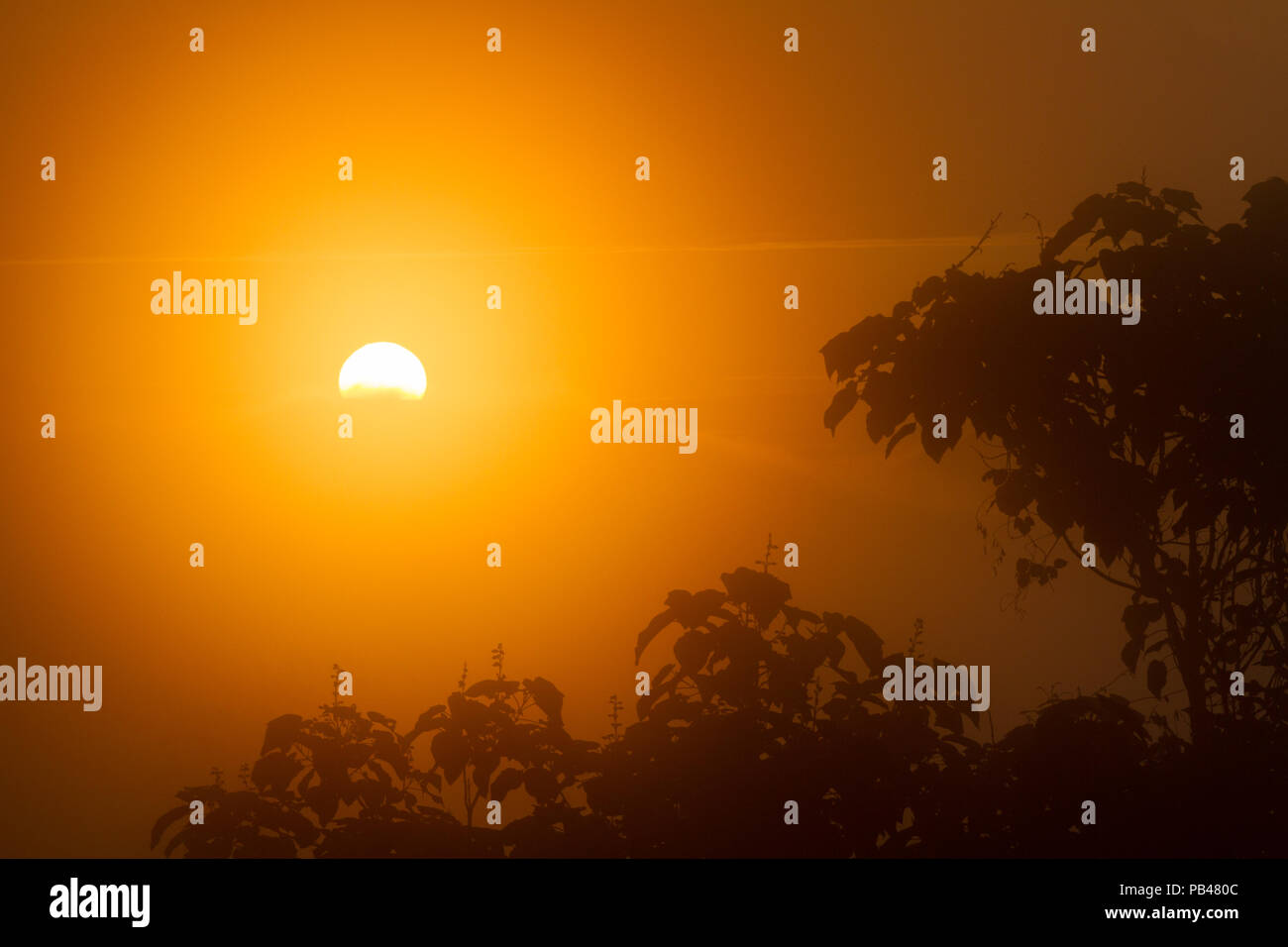 Hazing hi-res stock photography and images - Alamy