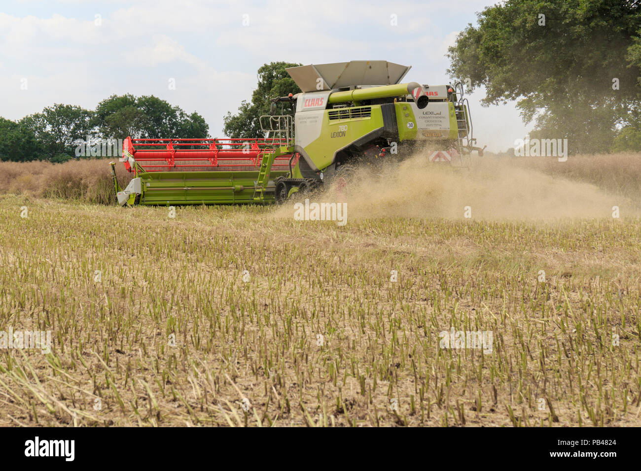 CLAAS 780 Lexion combine harvester, harvesting a very dusty and dry ...
