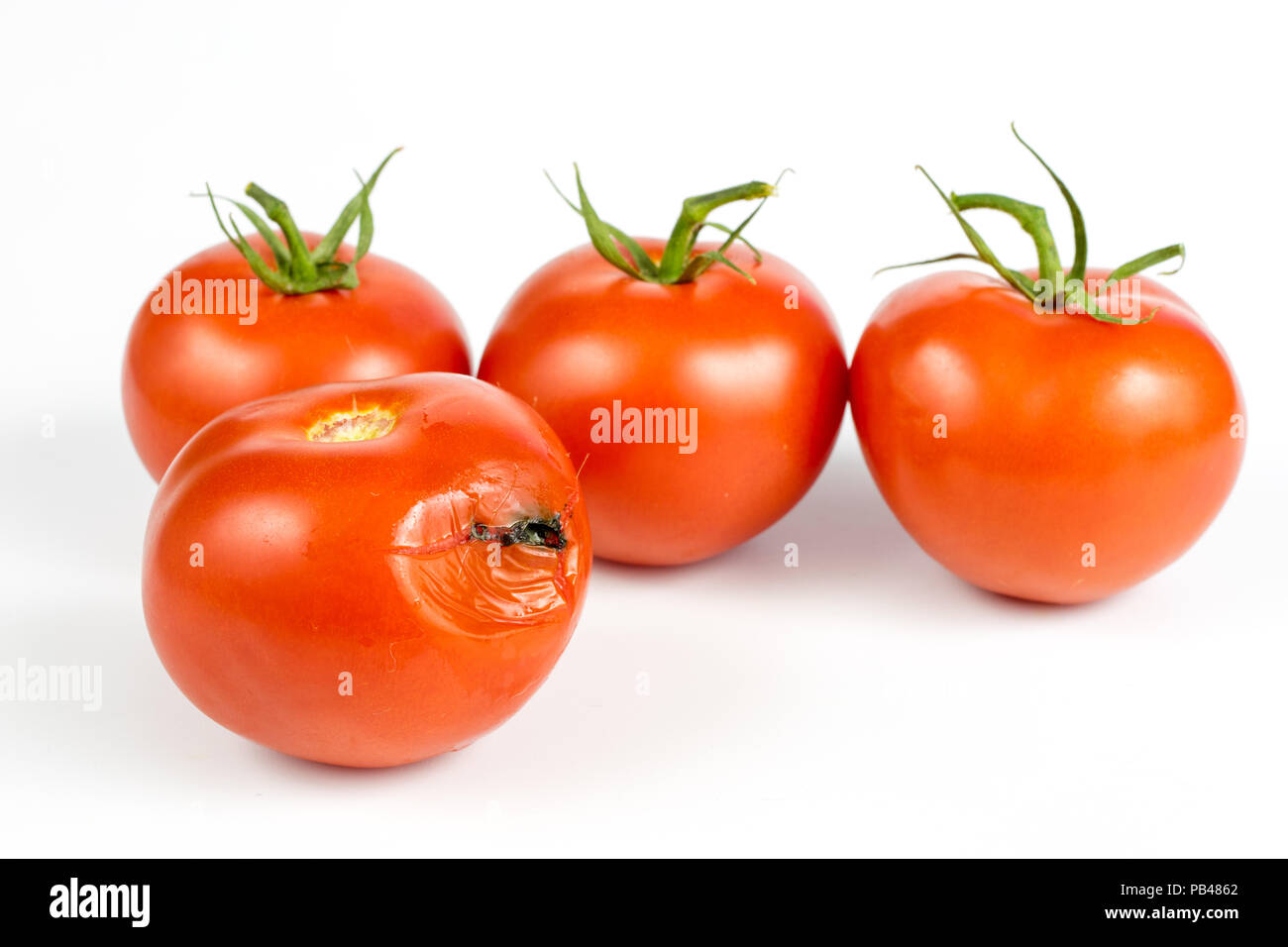 Red tomatoes on a white table. Tasty vegetables for the best dishes in ...