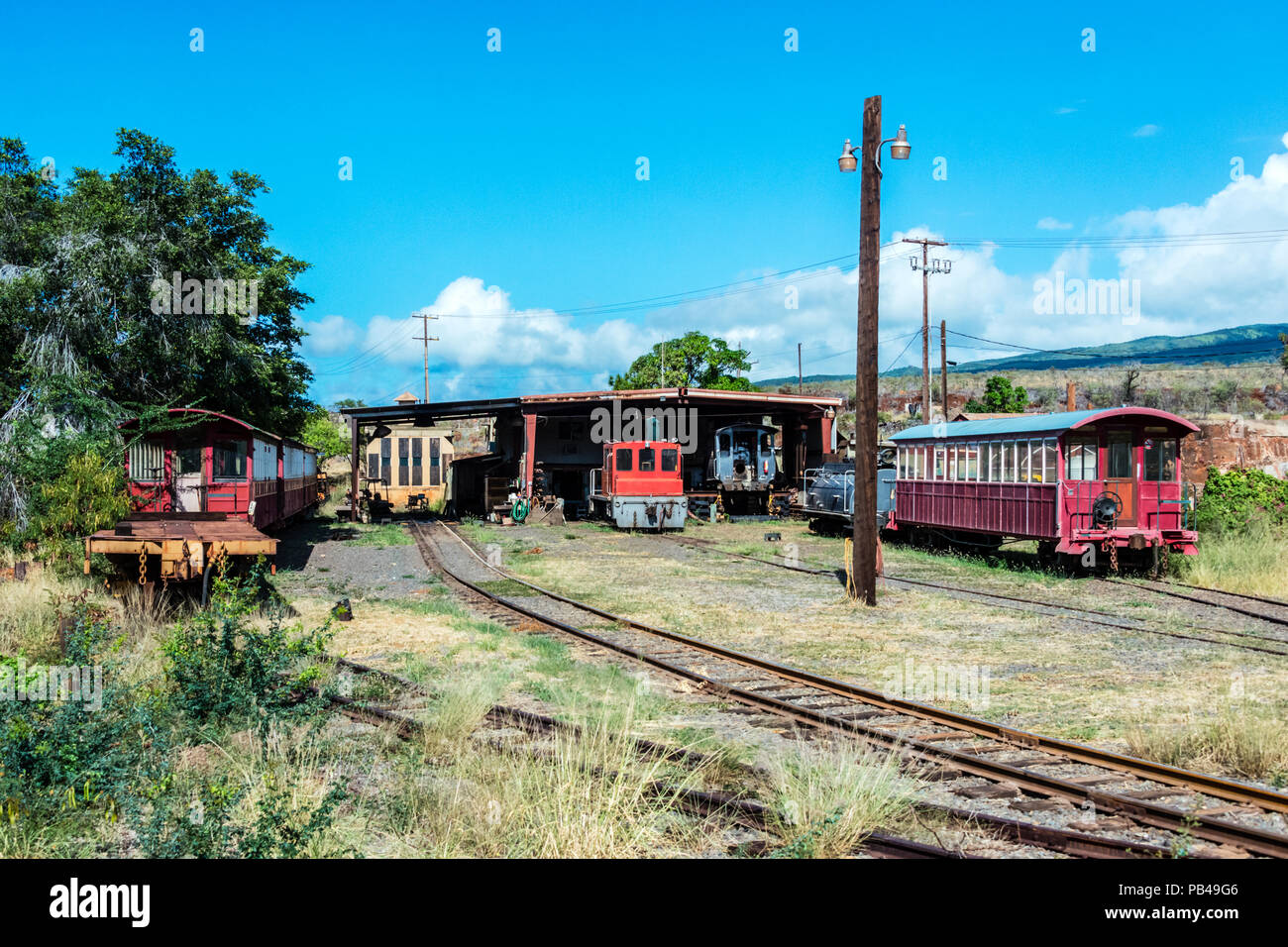 Steam locomotive sugar cane train hi-res stock photography and images ...
