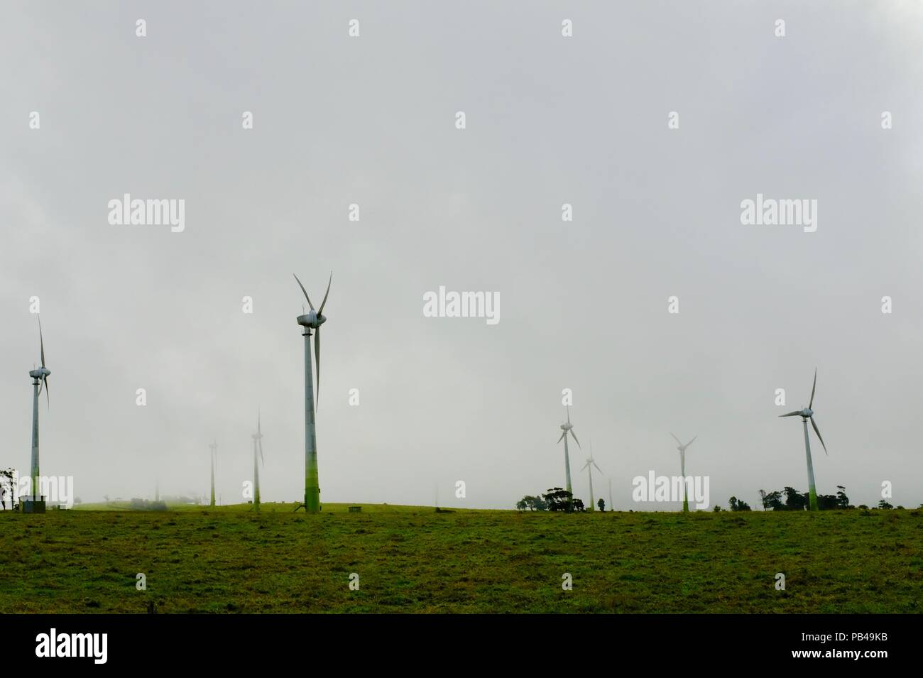 Wind turbines at WINDY HILL WIND FARM, RAVENSHOE, Atherton Tablelands ...