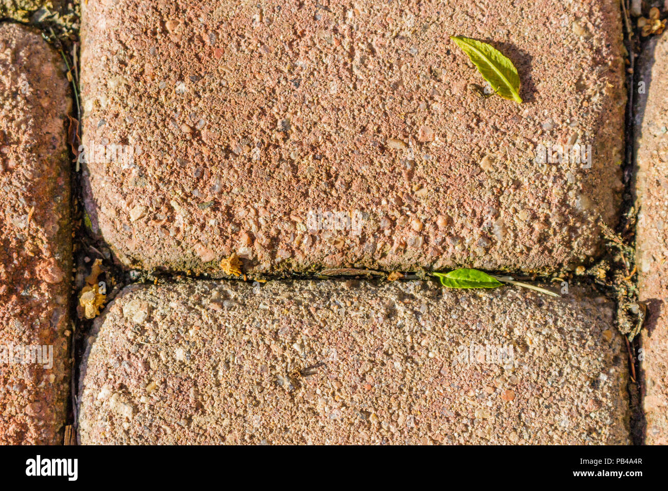 Brick walkway pattern hi-res stock photography and images - Alamy
