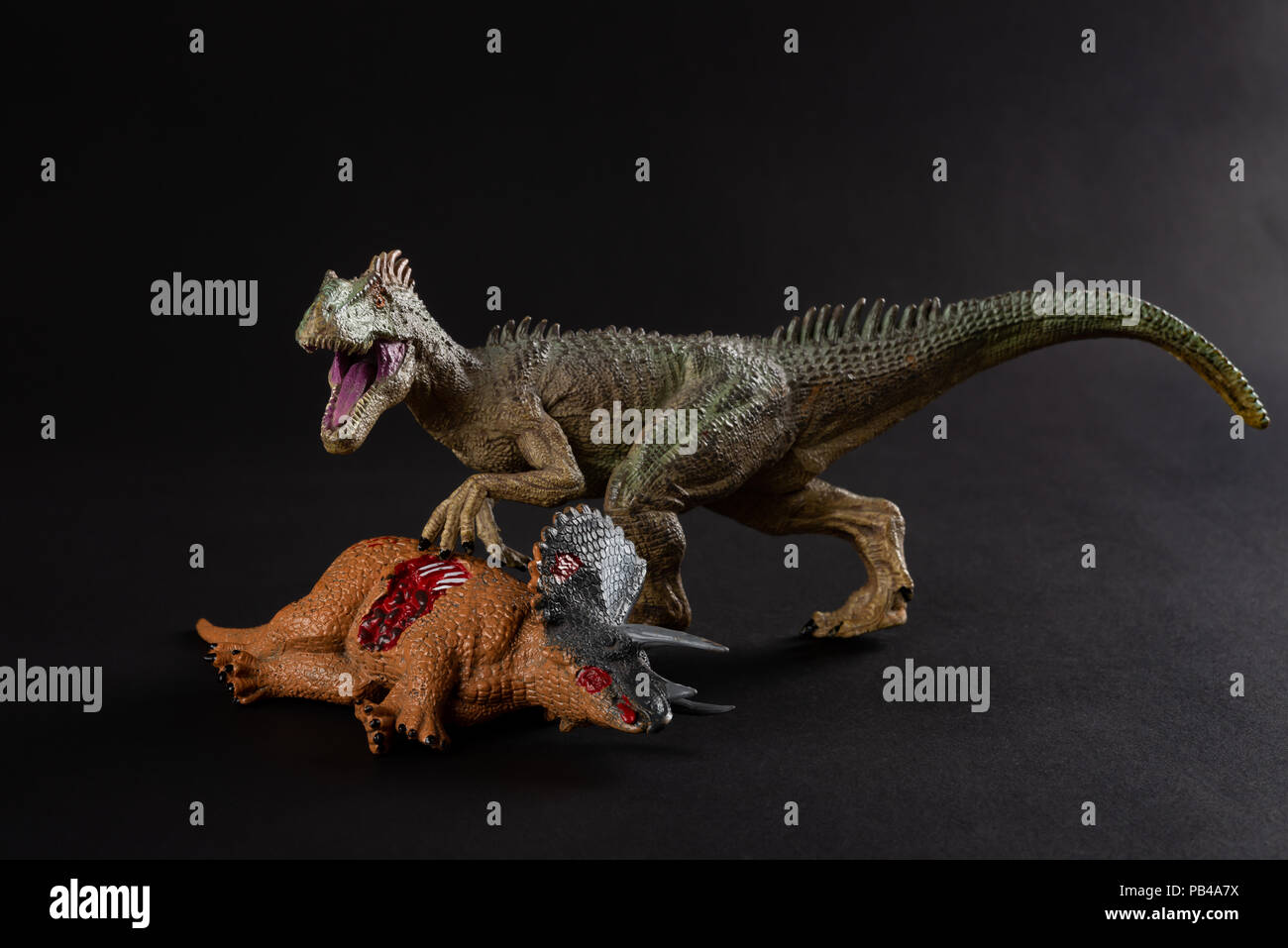 Allosaurus eating hi-res stock photography and images - Alamy