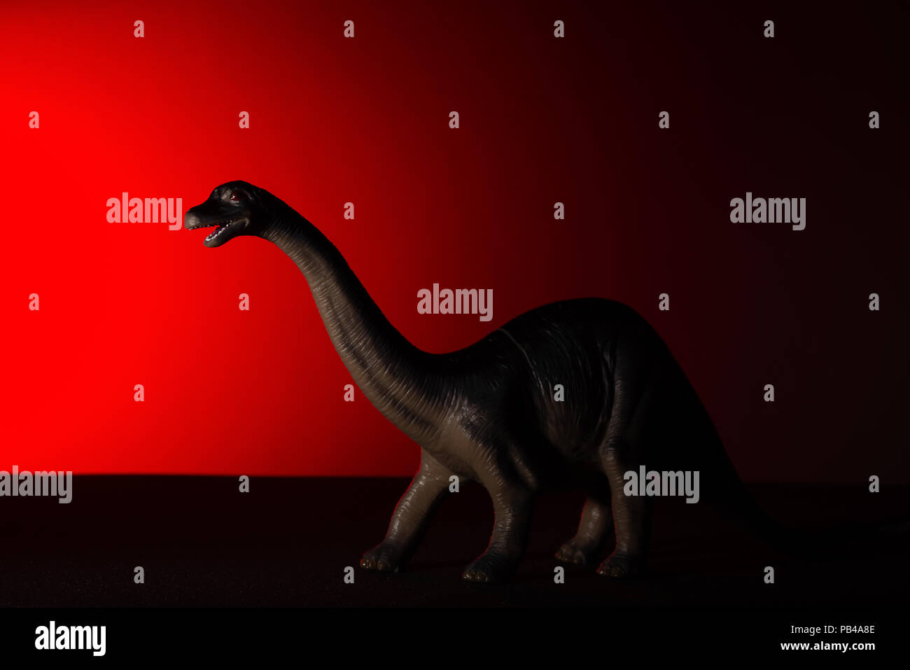 Diplodocus head hi-res stock photography and images - Alamy