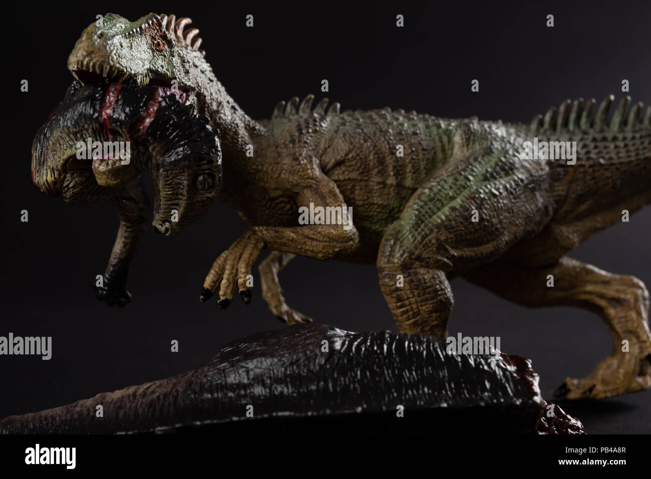 Allosaurus eating hi-res stock photography and images - Alamy