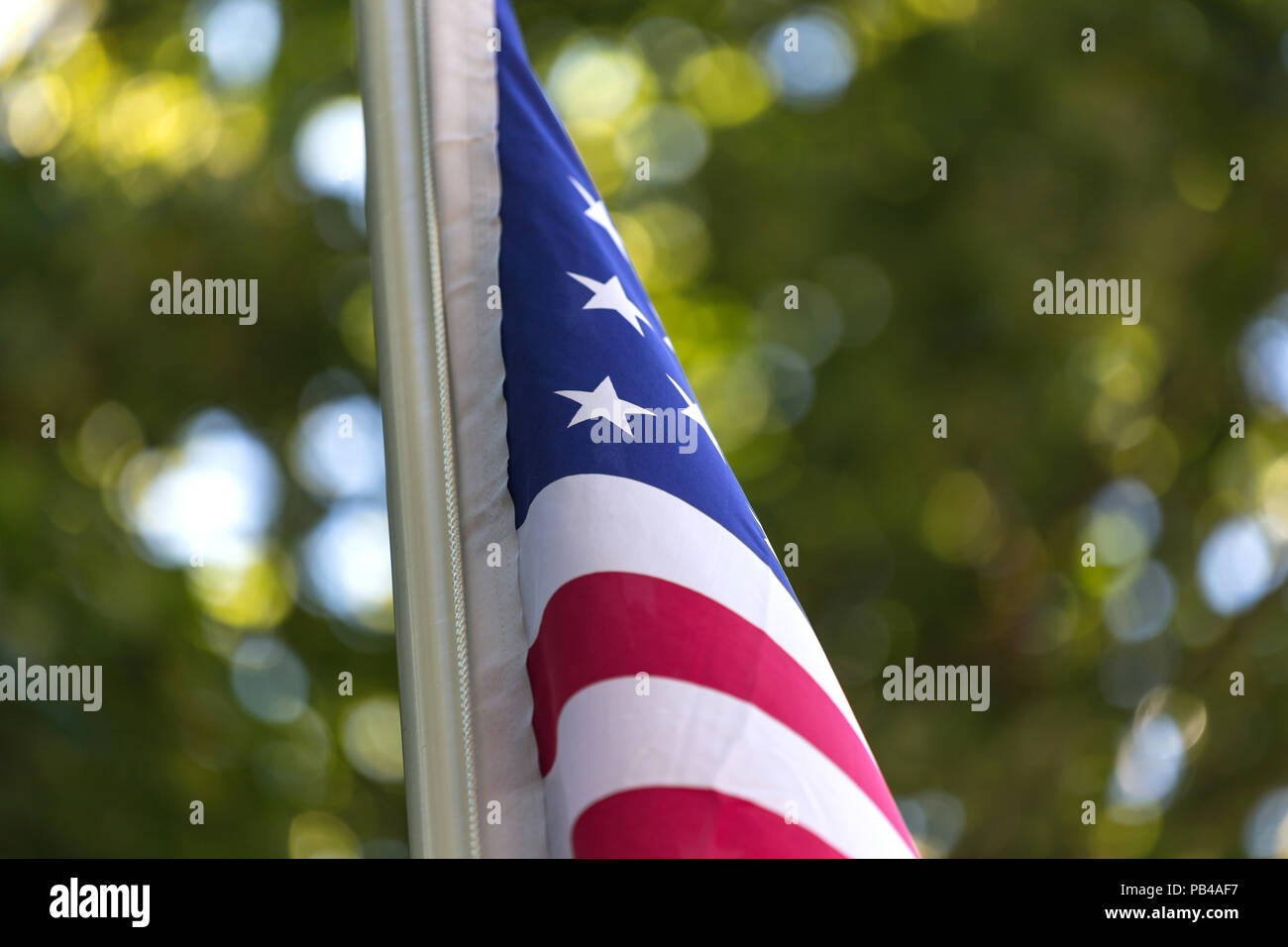 american flag in an forest Stock Photo - Alamy
