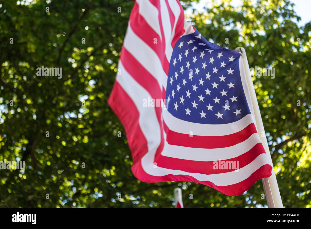 american flag in an forest Stock Photo - Alamy
