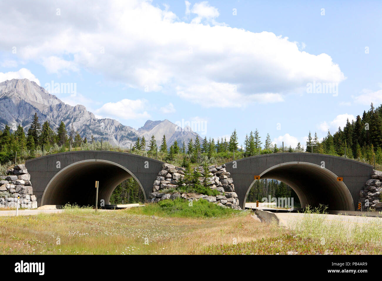 Wildlife overpass banff national park hi-res stock photography and ...