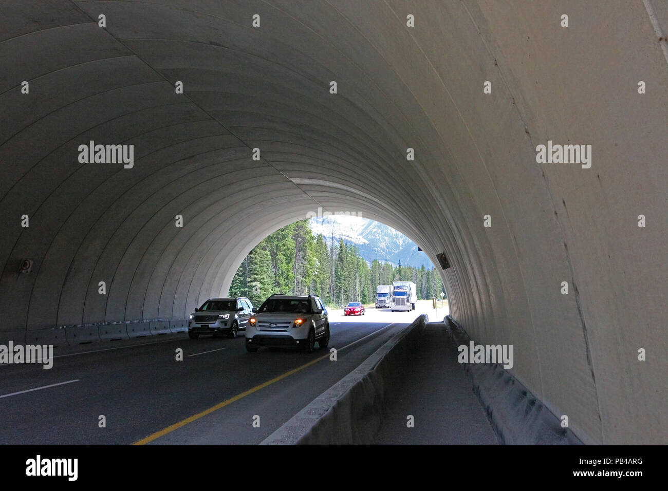 Wildlife overpass banff national park hi-res stock photography and ...