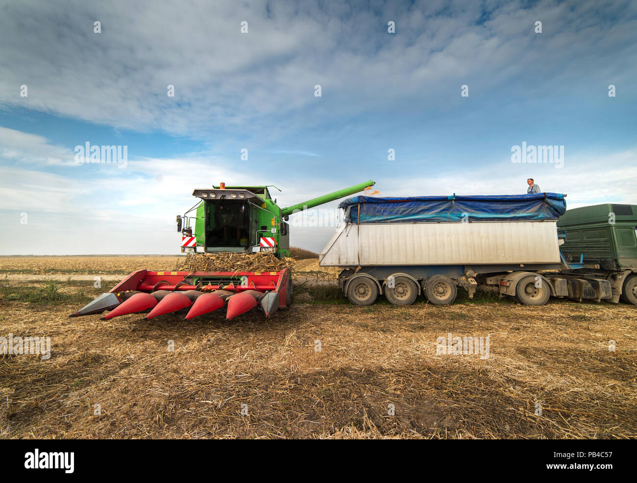 Pouring corn grain into tractor trailer after harvest Stock Photo - Alamy