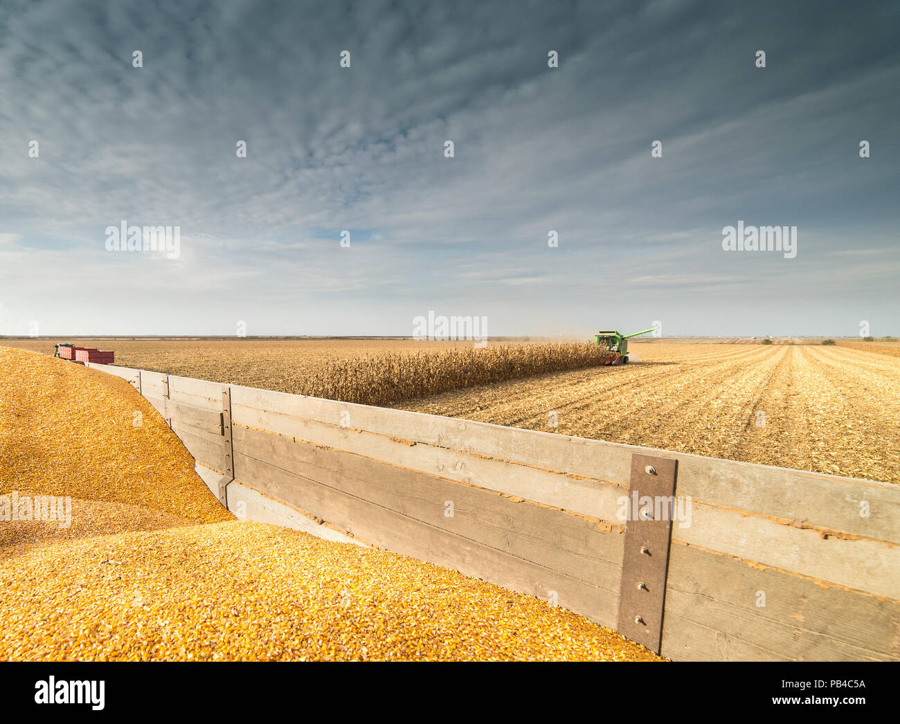 Corn in tractor trailer during harvest Stock Photo - Alamy