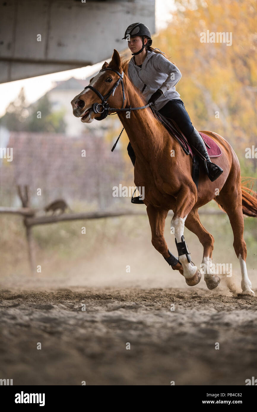 Young pretty girl riding a horse Stock Photo - Alamy