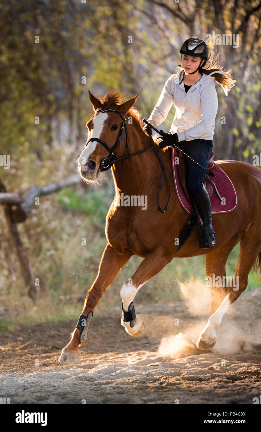 Young pretty girl riding a horse Stock Photo - Alamy