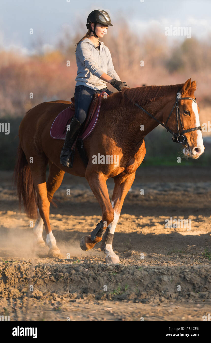 Young pretty girl riding a horse Stock Photo - Alamy