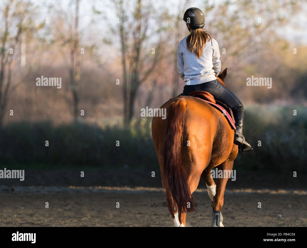 Young pretty girl riding a horse Stock Photo - Alamy