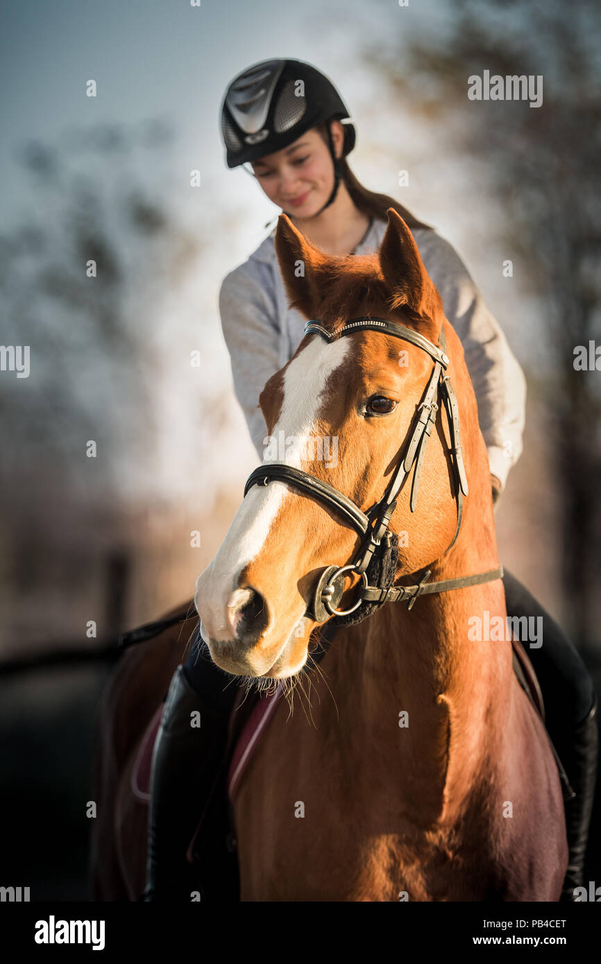 Young pretty girl riding a horse Stock Photo - Alamy