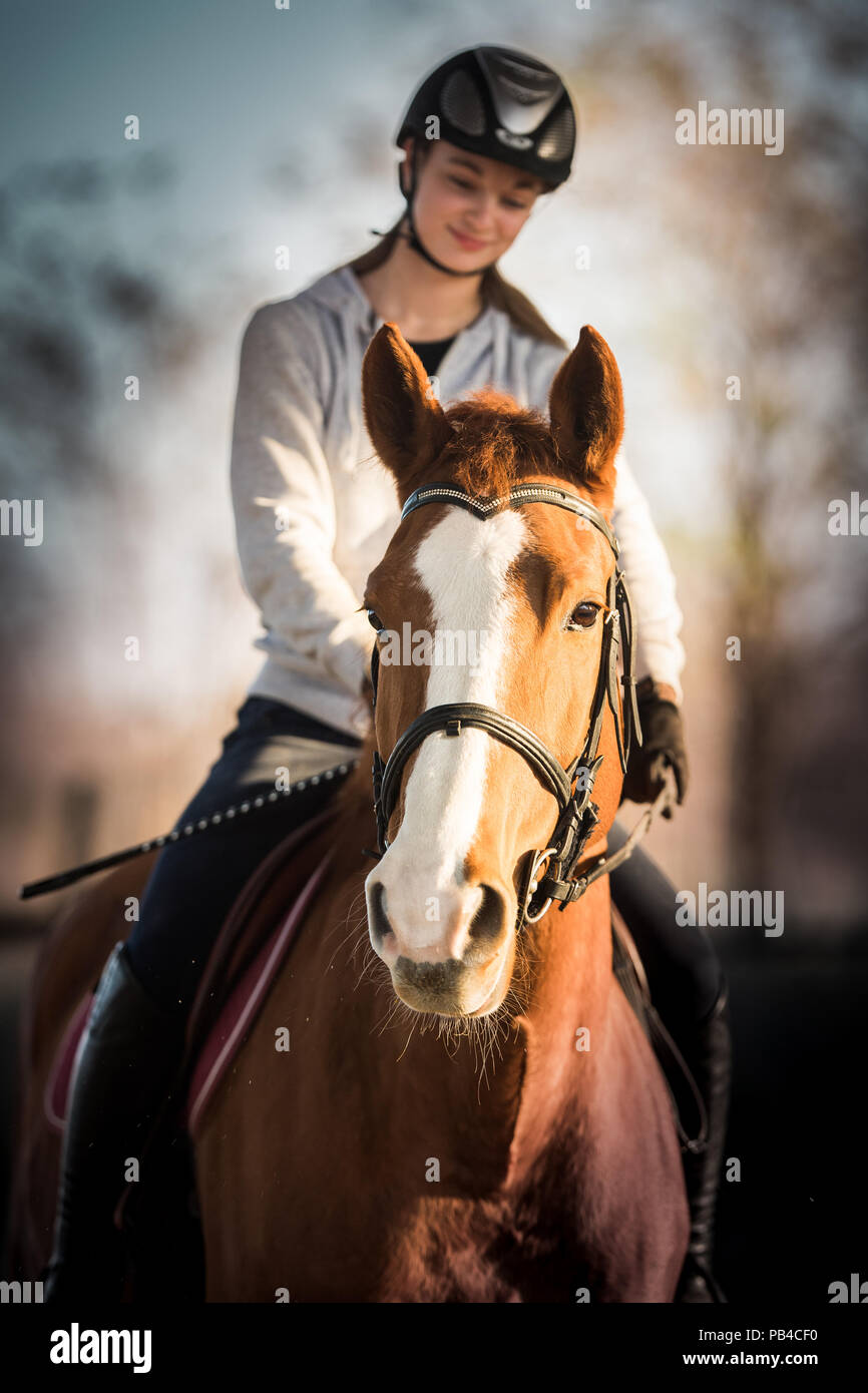 Young pretty girl riding a horse Stock Photo - Alamy