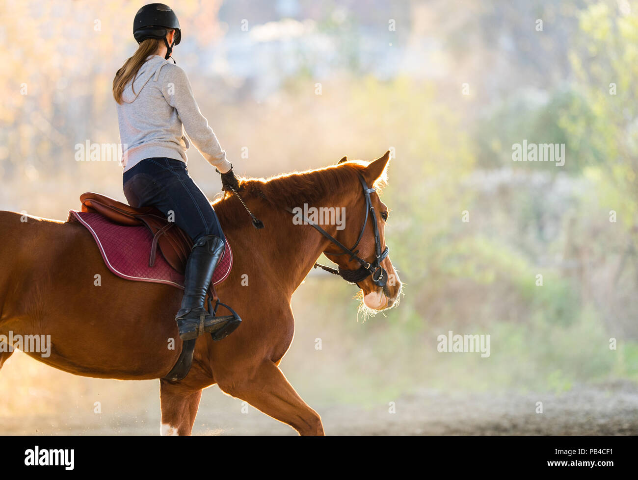 Young pretty girl riding a horse Stock Photo - Alamy