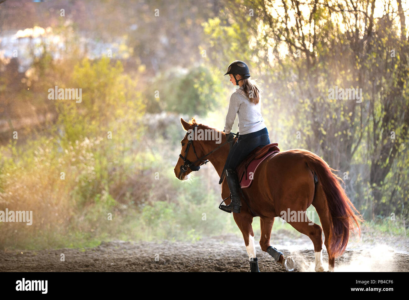 Young pretty girl riding a horse Stock Photo - Alamy
