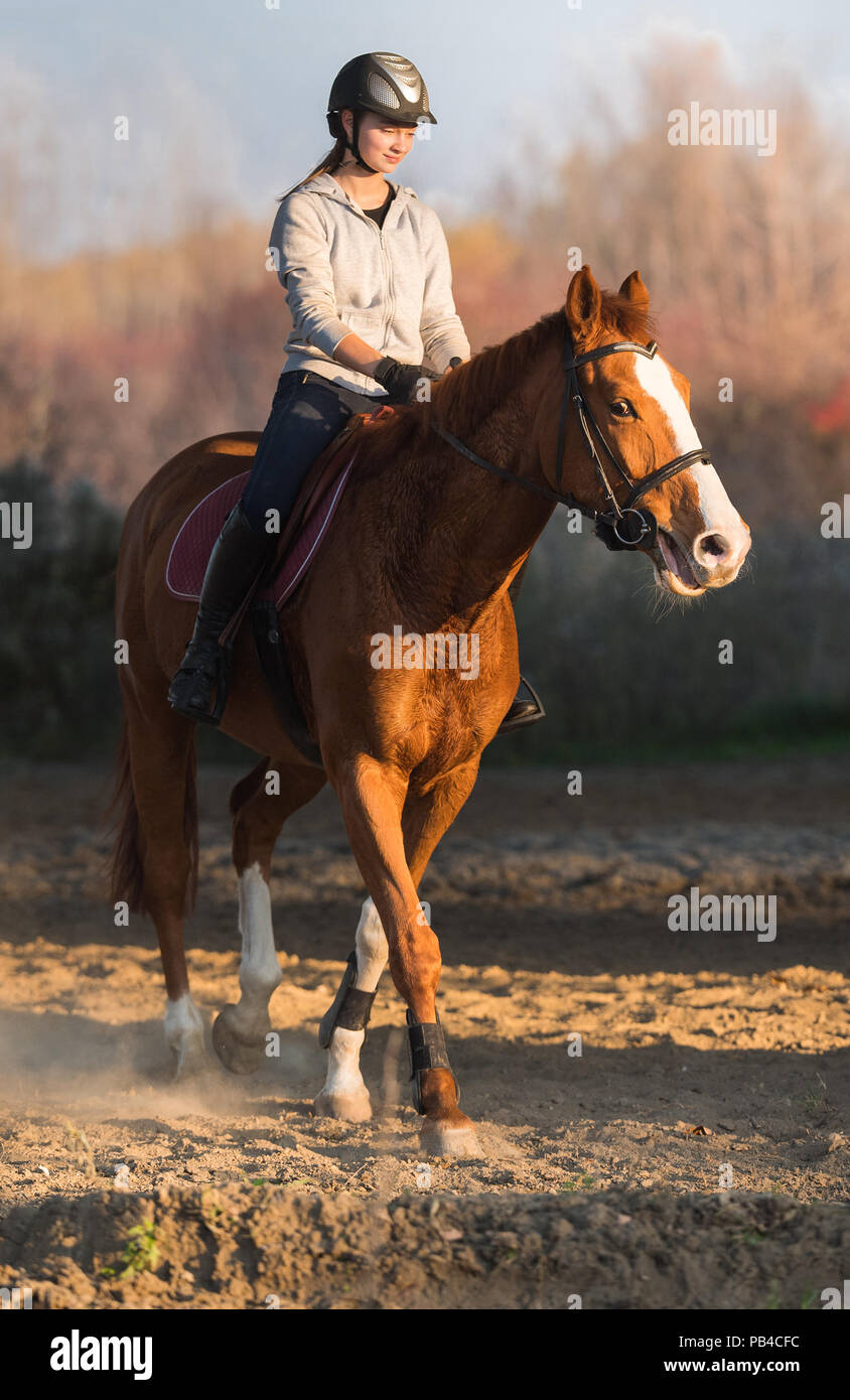 Young pretty girl riding a horse Stock Photo - Alamy