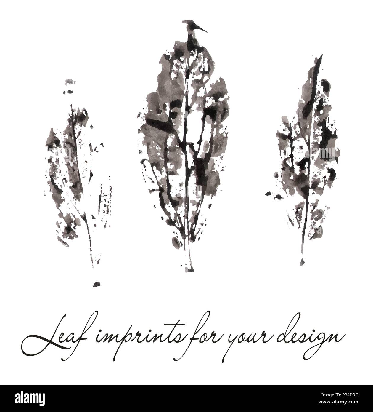 Vector leaves imprints Stock Vector Image & Art - Alamy