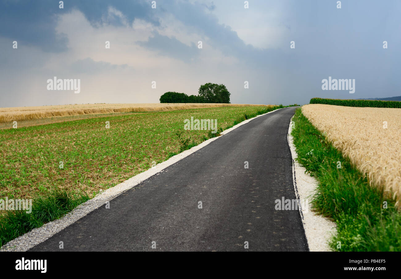 Tar path along a corn field with rainfall Stock Photo - Alamy