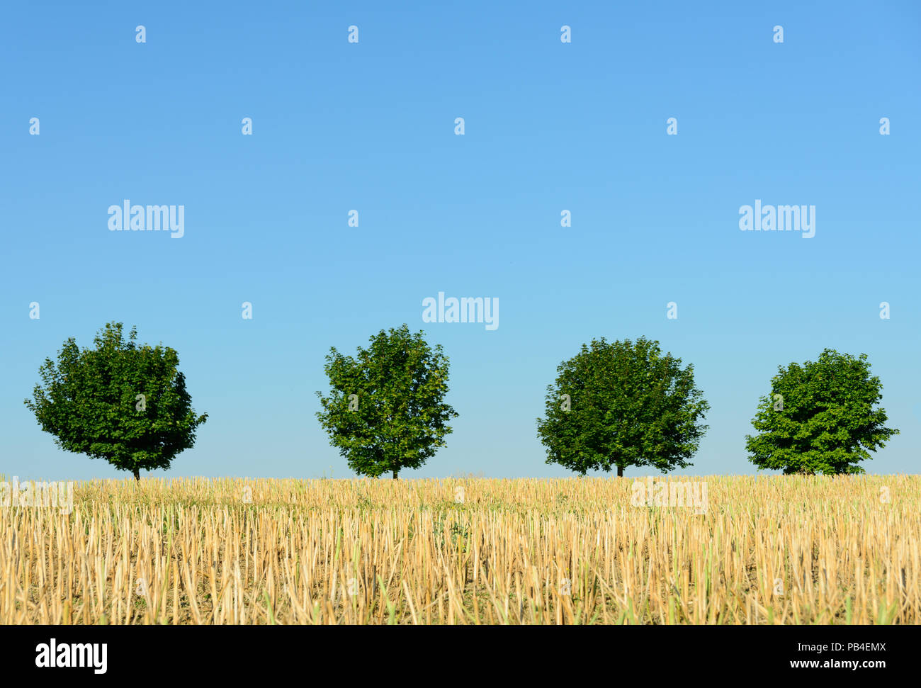 Symmetrie hi-res stock photography and images - Alamy