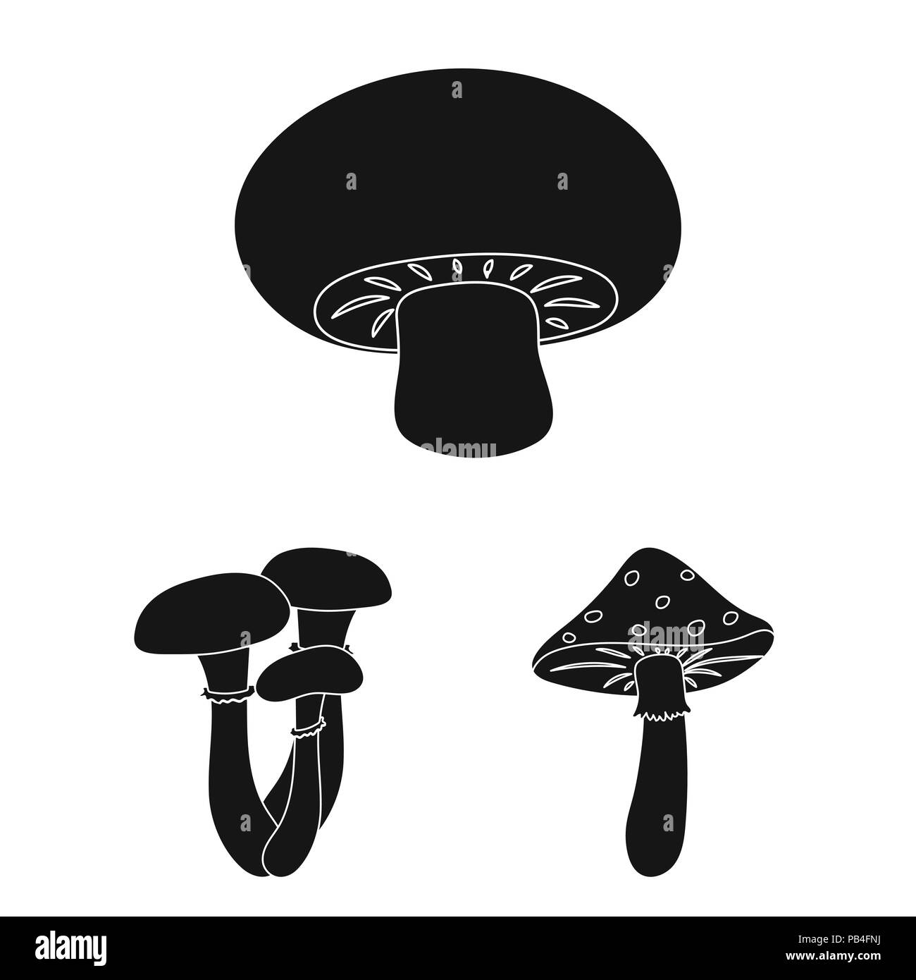 Poisonous and edible mushroom black icons in set collection for design ...