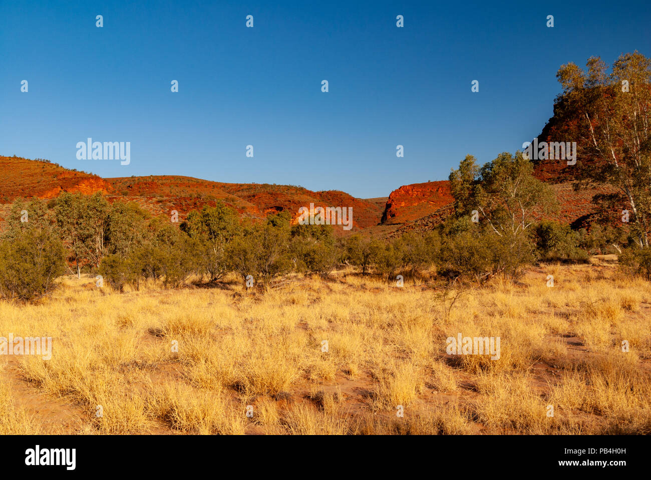 Finke Gorge National Park near Hermannsburg in Northern Territiory sout ...