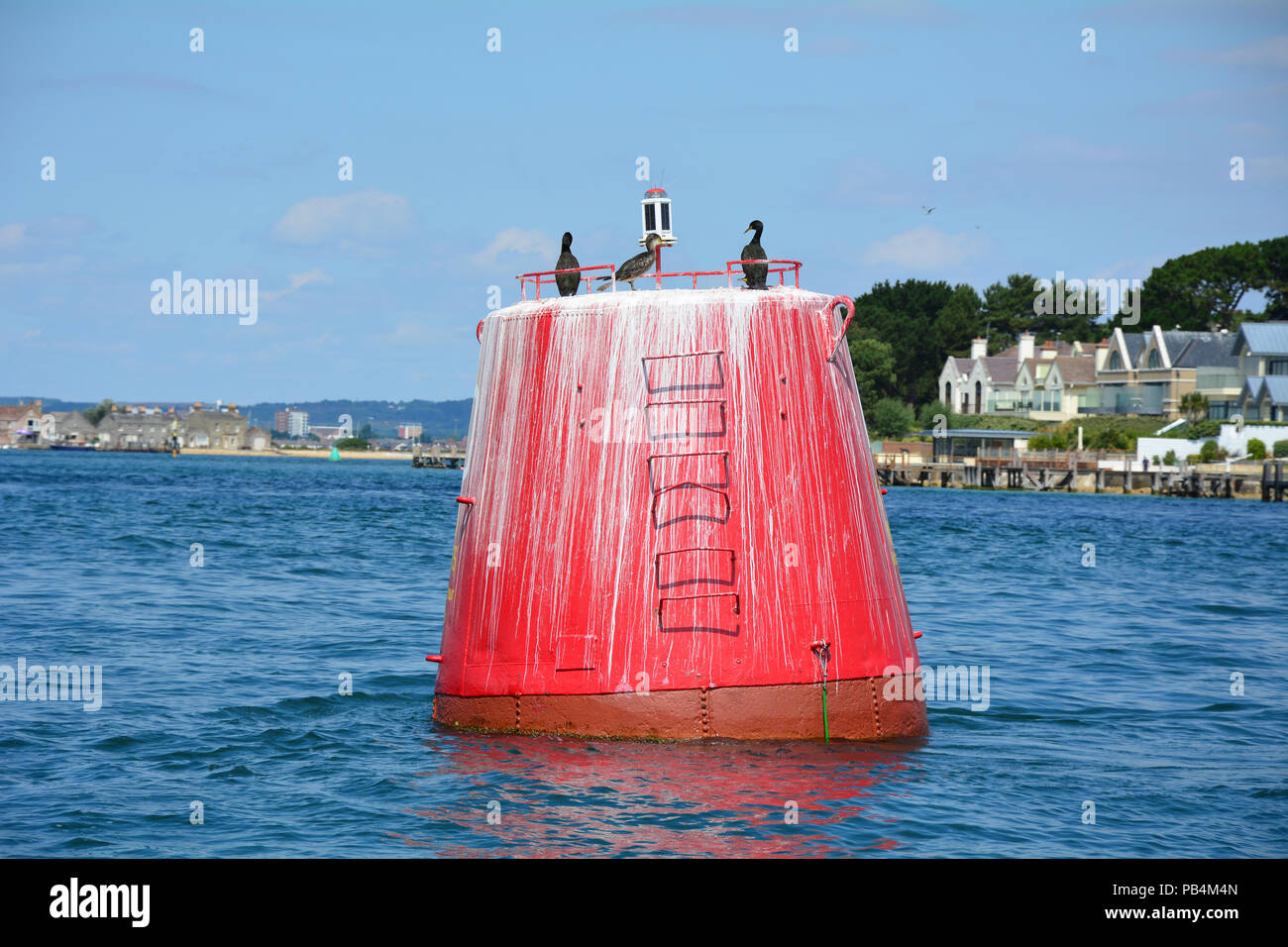 Buoy at the entrance to Poole Harbour with birds resting on it Stock ...