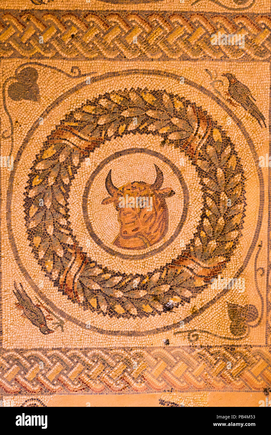 Bull ancient mosaic hi-res stock photography and images - Alamy