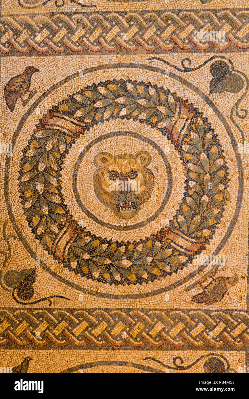 Ancient roman cat mosaic hi-res stock photography and images - Alamy