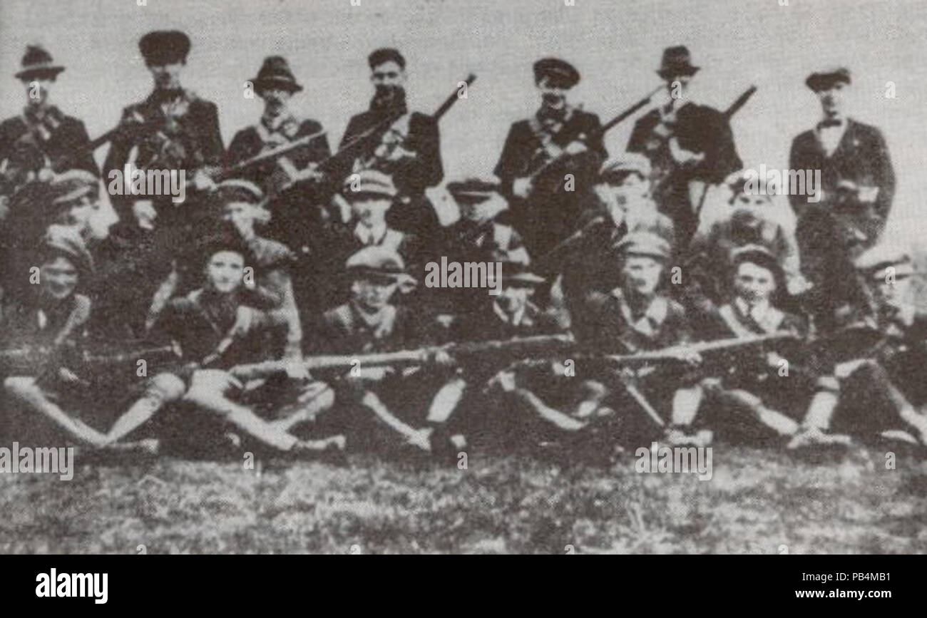 1281 S. Hogan - Flying Column No. 2, 3rd Tipperary Brigade, IRA - 1921 ...
