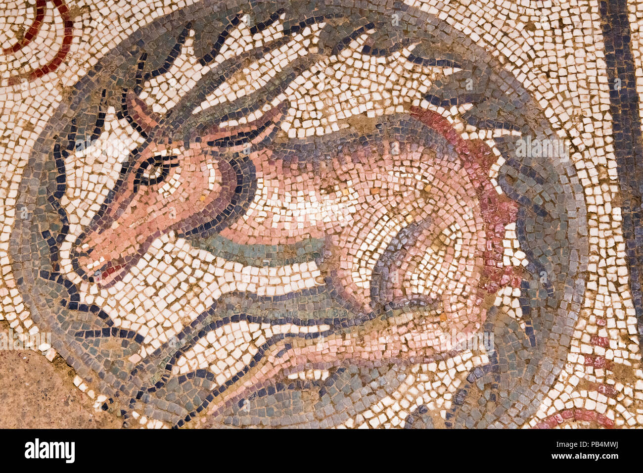 Italy Sicily Piazza Amerina Villa Romana del Casale Roman Villa Unesco ...
