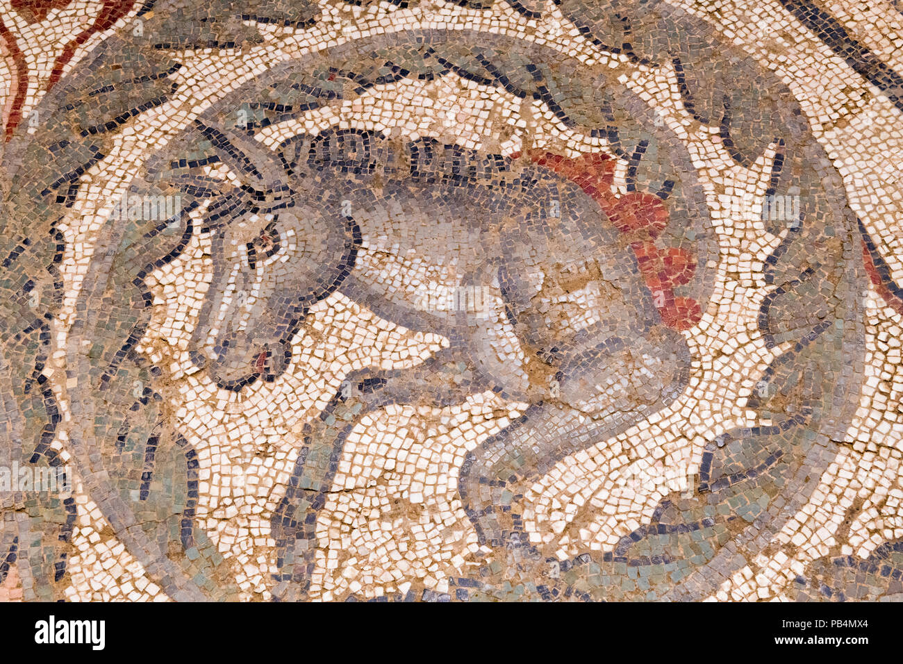 Italy Sicily Piazza Amerina Villa Romana del Casale Roman Villa Unesco ...