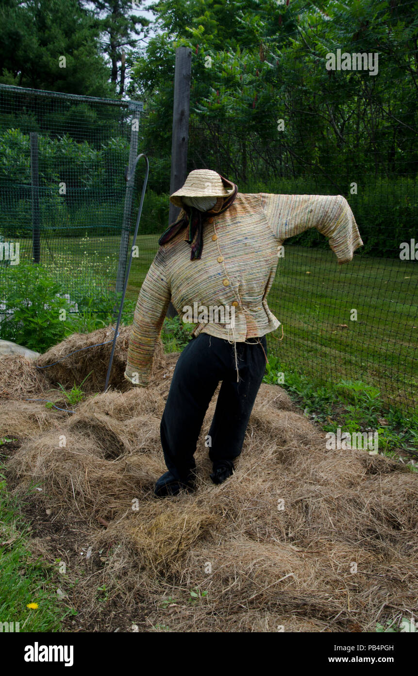 Community garden scarecrow hi-res stock photography and images - Alamy